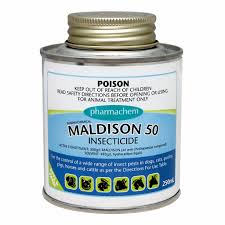 Maldison 50 | Evans Chickens