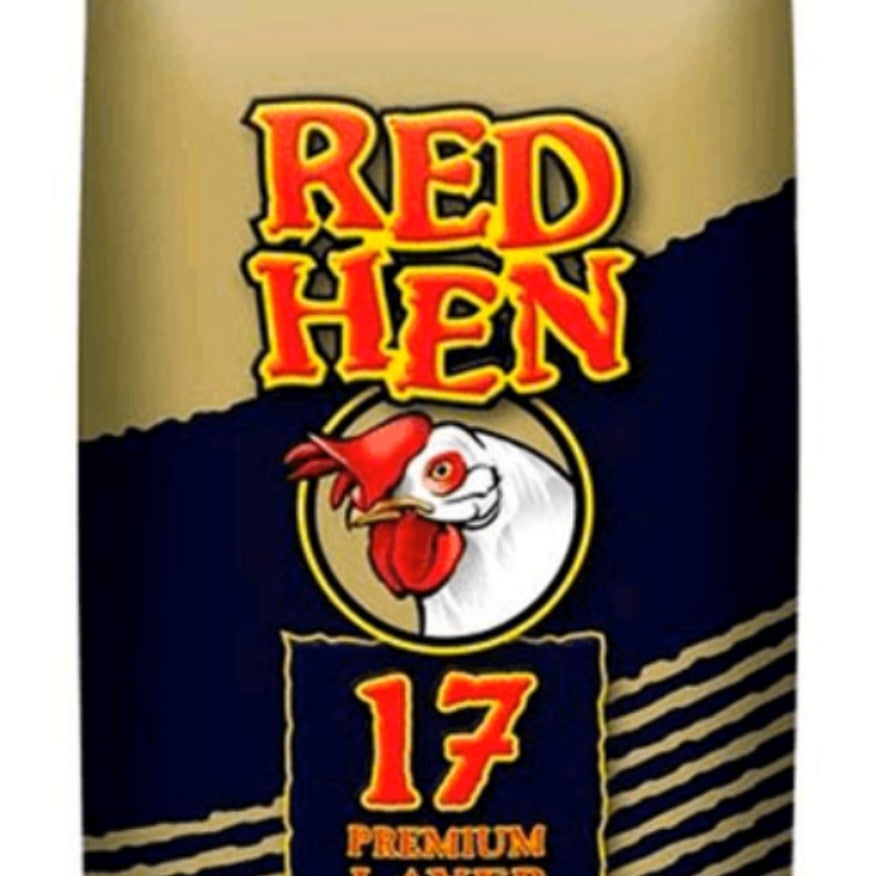 Red Hen 17 | Evans Chickens