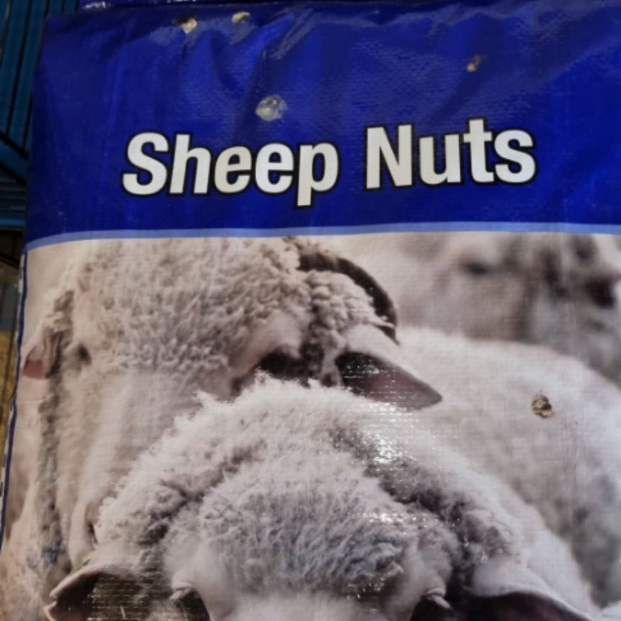 Sheep Nuts 20kg | Evans Chickens