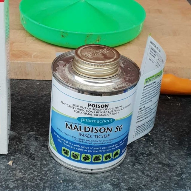 Pest Control | Evans Chickens